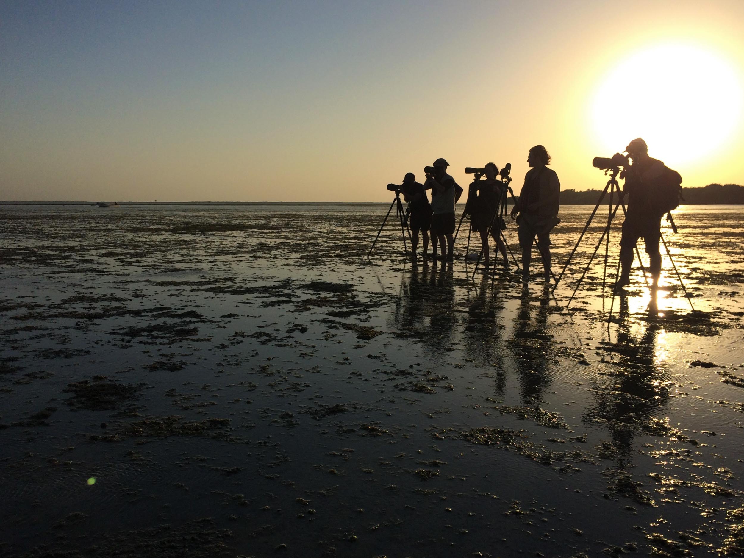 Reisverslag natuurreis vogelreis Oman 2018
